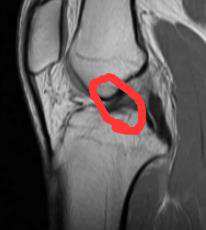 題目瀏覽 - 考古豹 CougarBot