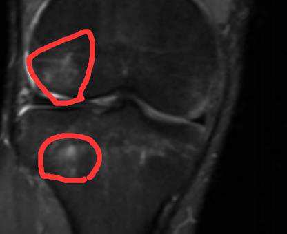 題目瀏覽 - 考古豹 CougarBot